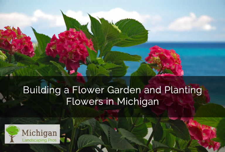 Guide to Building a Flower Garden and Planting Flowers in Michigan